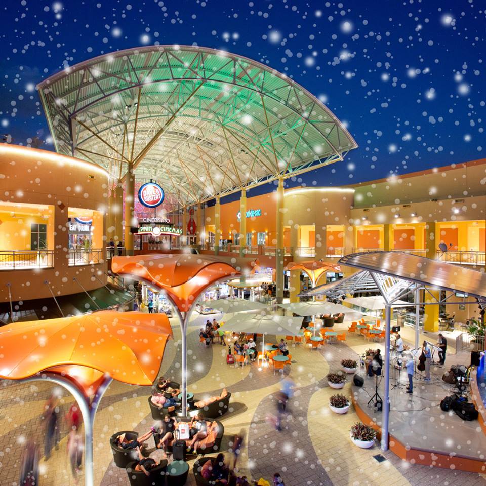 Dolphin Mall | BCOOL